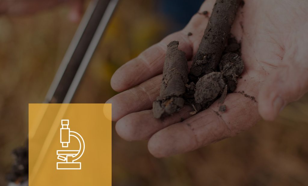 Hawk's Agro - Hawk's Agro